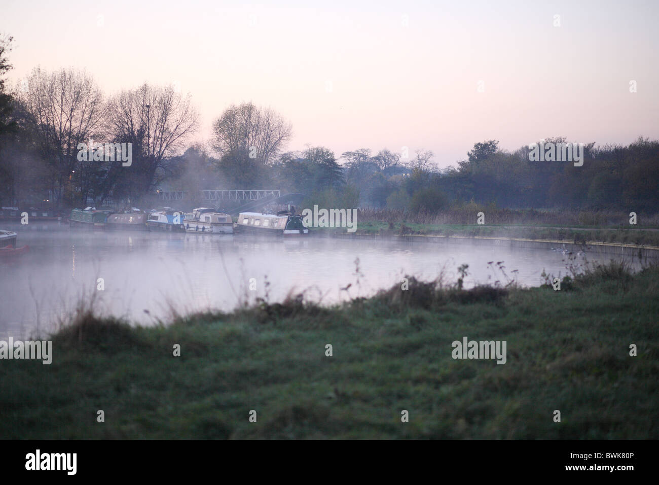 mist in the park 2 Stock Photo - Alamy