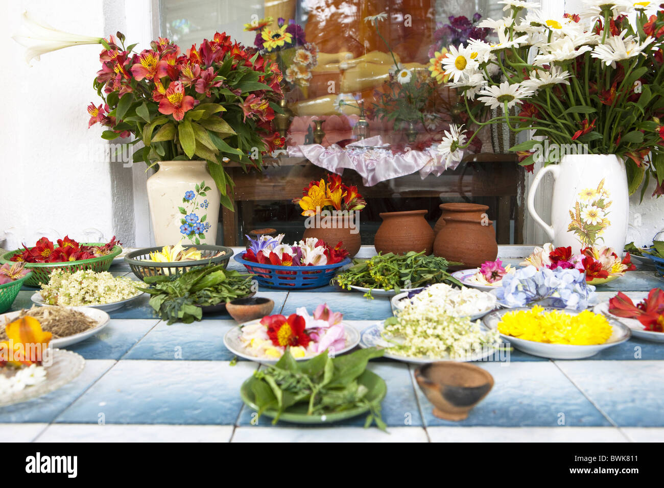 Offerings in a small buddhist temple, Nuwara Eliya, Highland, Sri Lanka ...