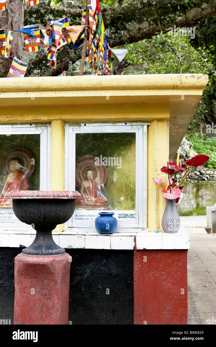 Buddhas statues surrounding the holy Bodhi tree at the Dowa Rock Temple ...