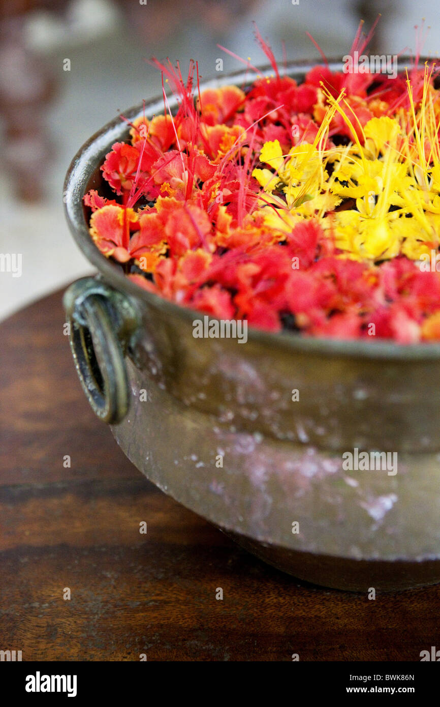 Flower arangement at the Surya Lanka Ayurveda Beach Resort, Talalla ...