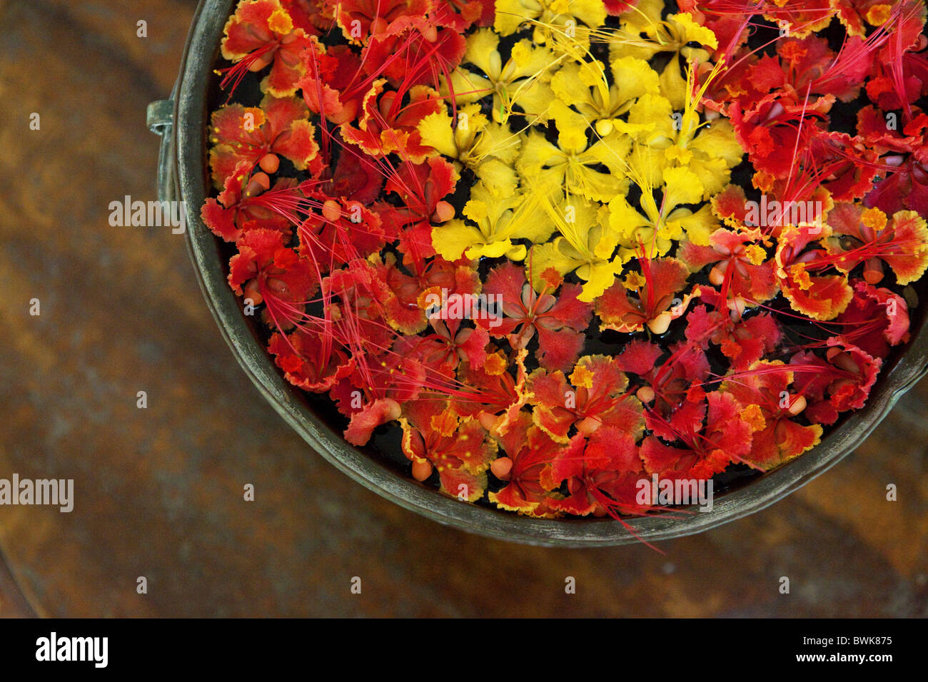 Flower arangement at the Surya Lanka Ayurveda Beach Resort, Talalla ...