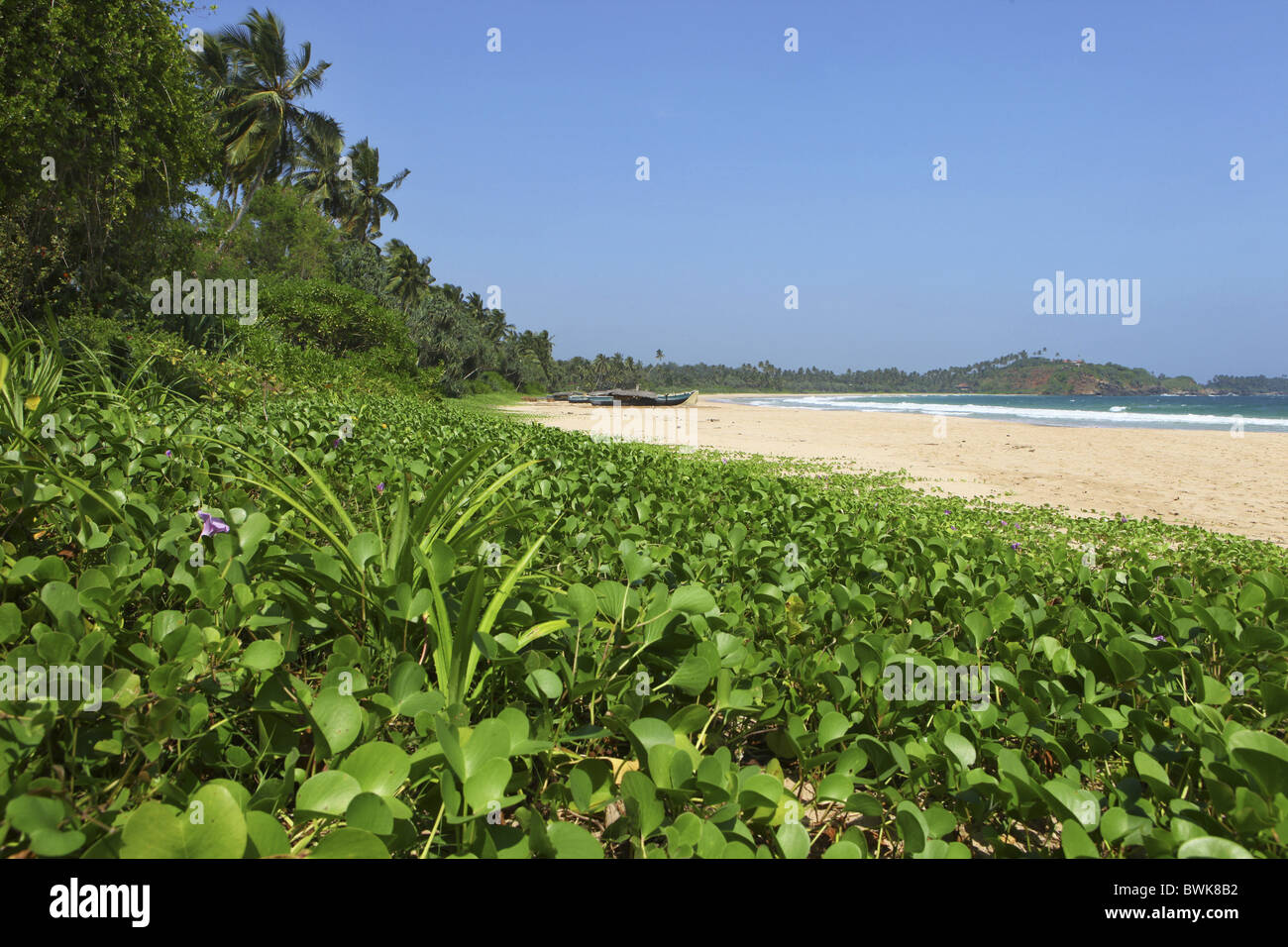 Talalla beach hi-res stock photography and images - Alamy