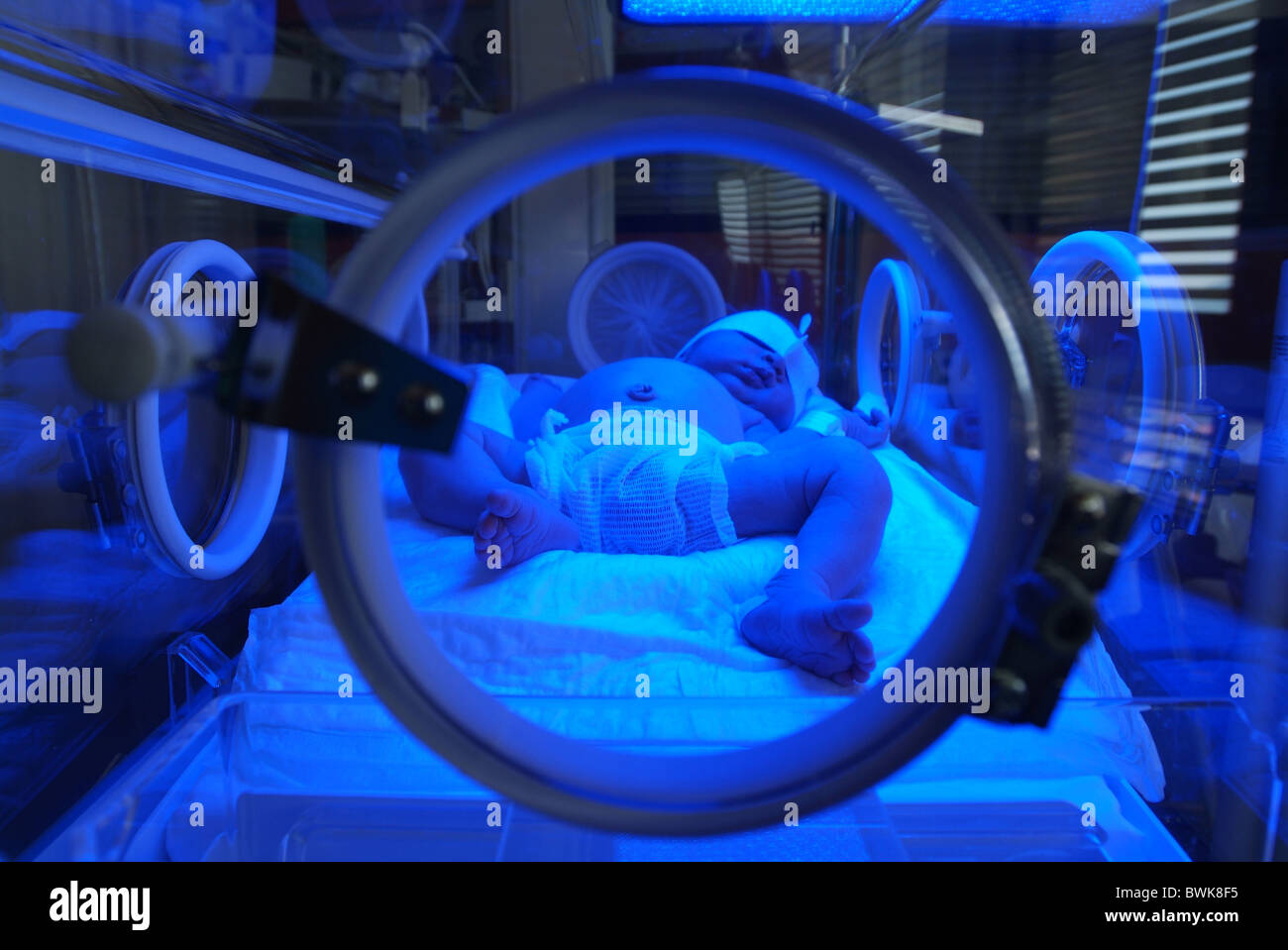 newborn child baby early birth birth incubator incubator hospital ...