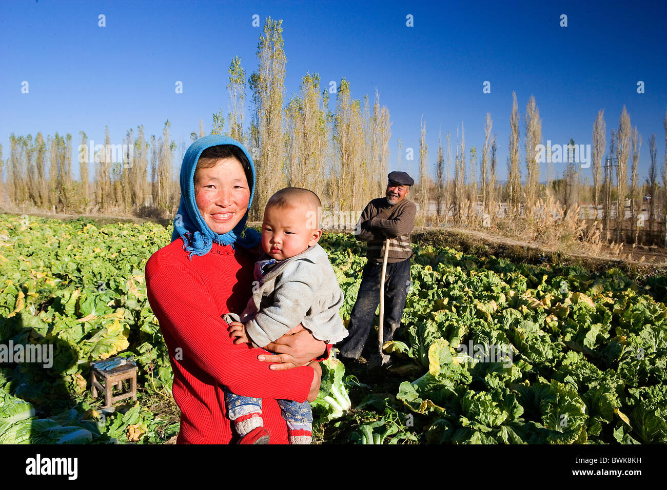 China Asia Silk Road province Gansu Dunhuang farmers cultivation ...
