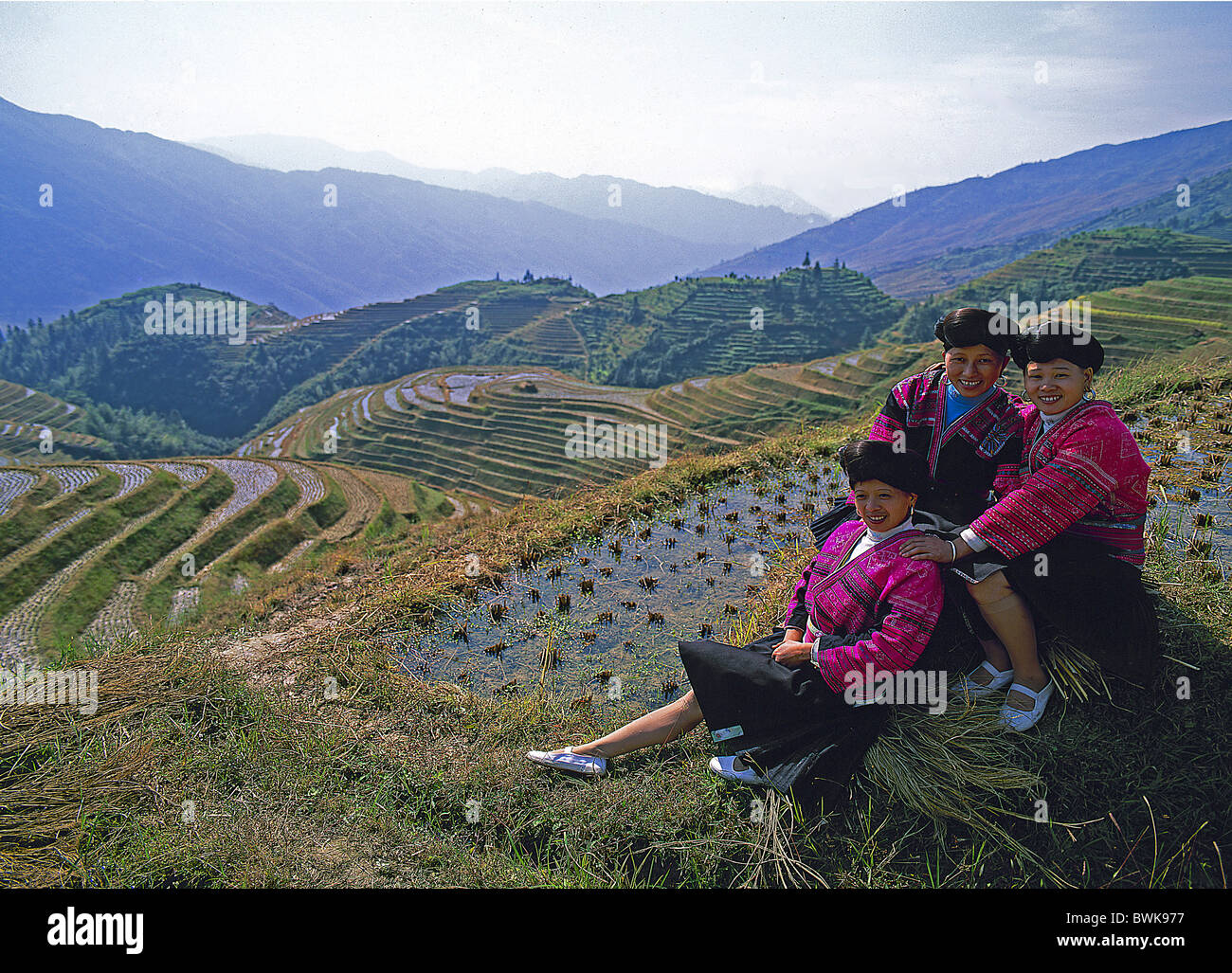 China Asia Guangxi autonomous area field Longshen dragon back rice ...