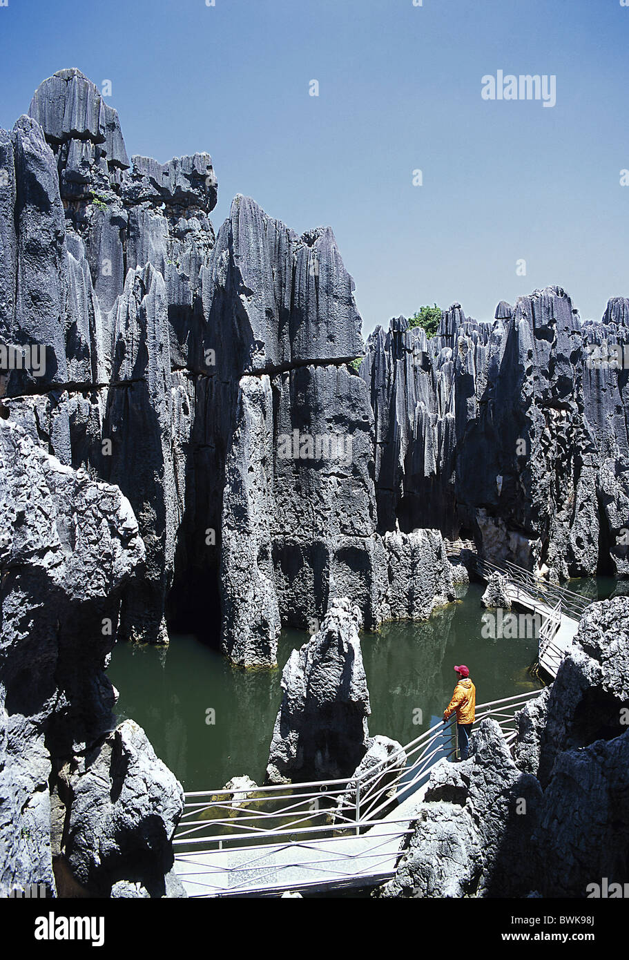 Two pronged hi-res stock photography and images - Alamy