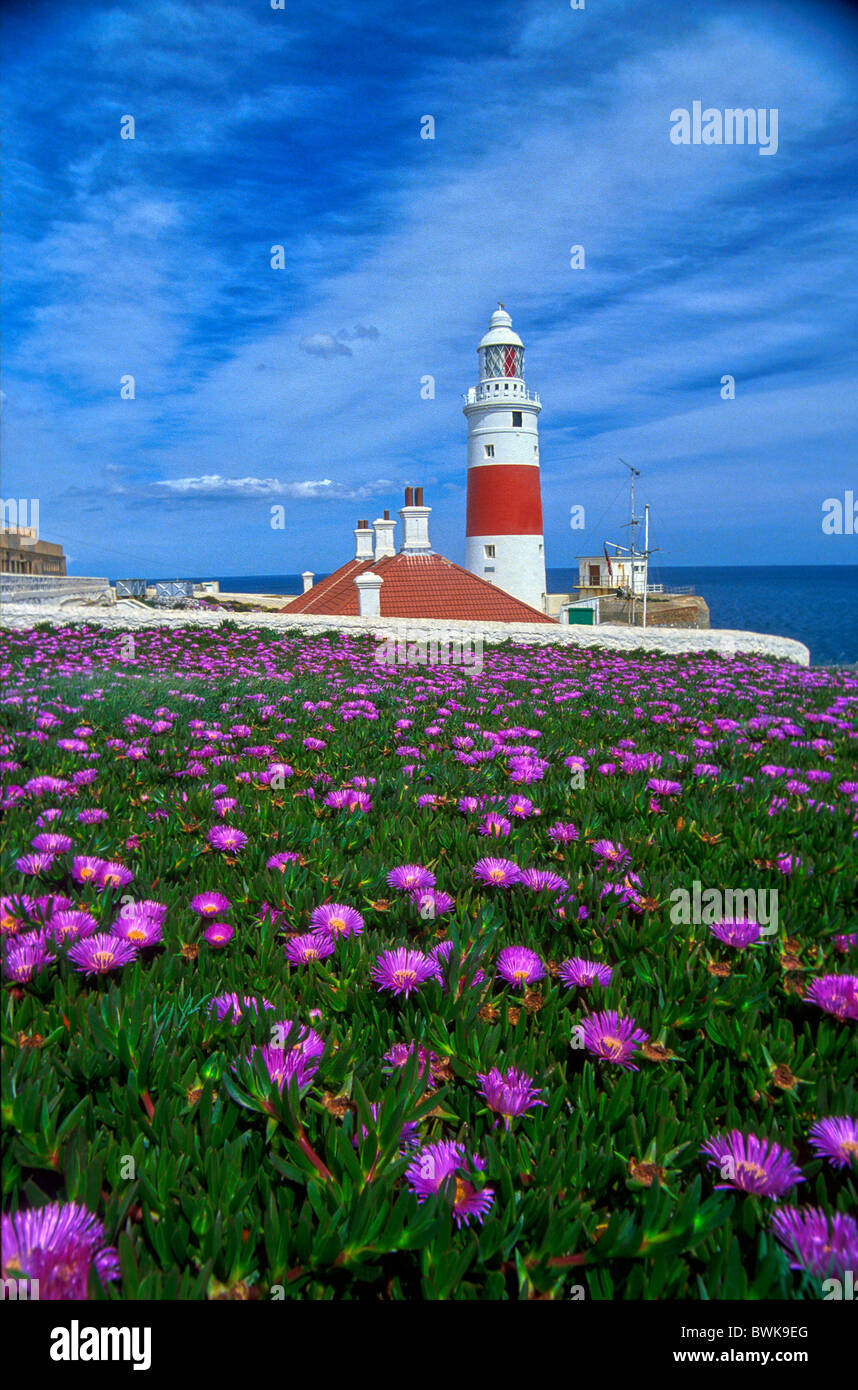 Gibraltar lighthouse coast sea flowers flower meadow shrubs-midday ...
