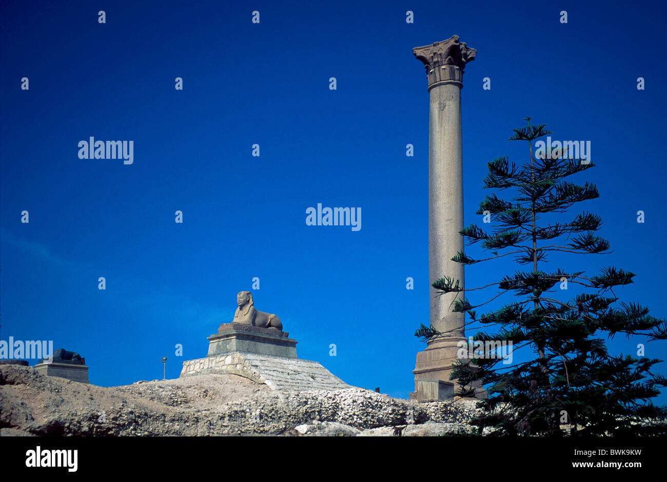 Egypt North Africa Alexandria pomp law-column Serapis temple Greek ...