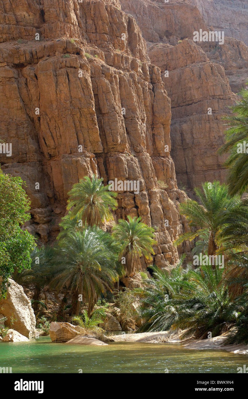 gulch palms river flow brook stream water oasis desert scenery ...