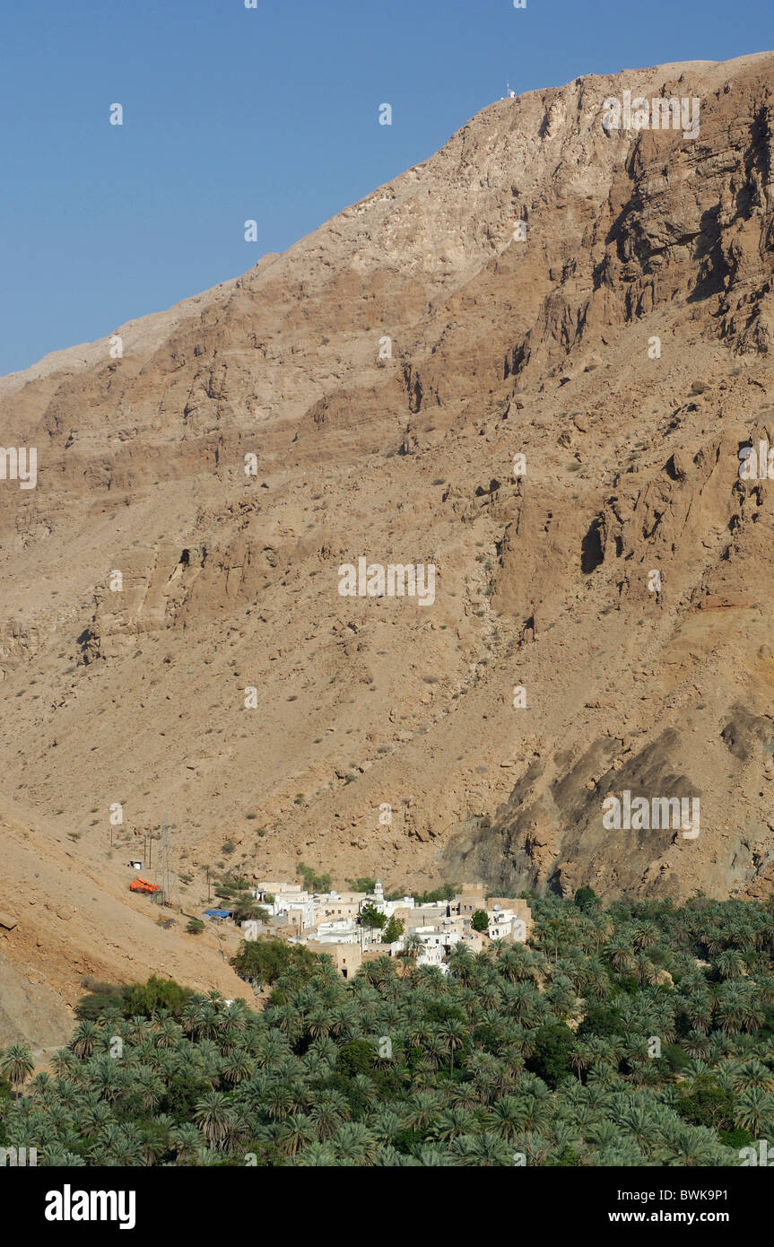 settlement gulch palms river flow brook stream water oasis desert ...