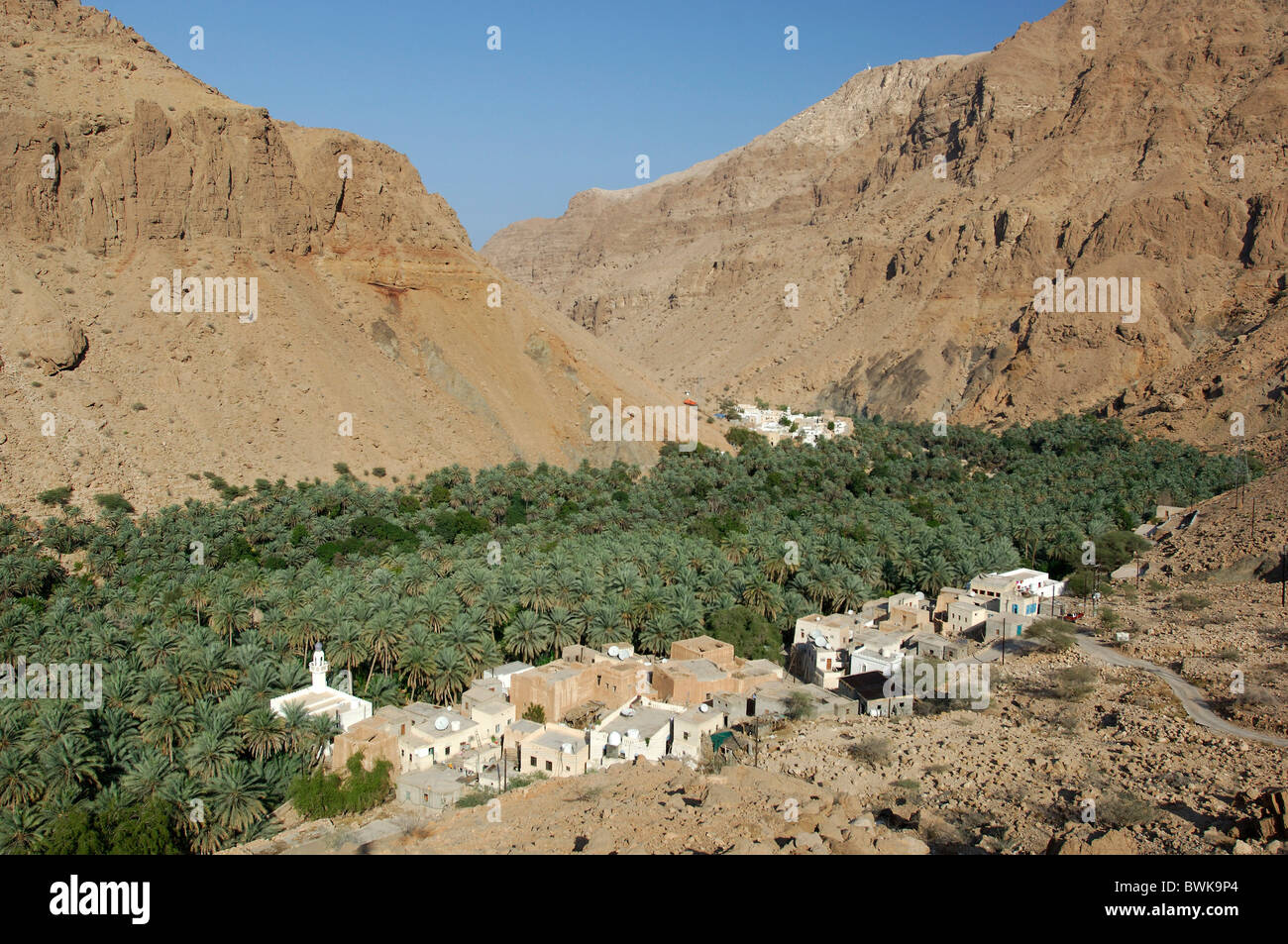 settlement gulch palms river flow brook stream water oasis desert ...