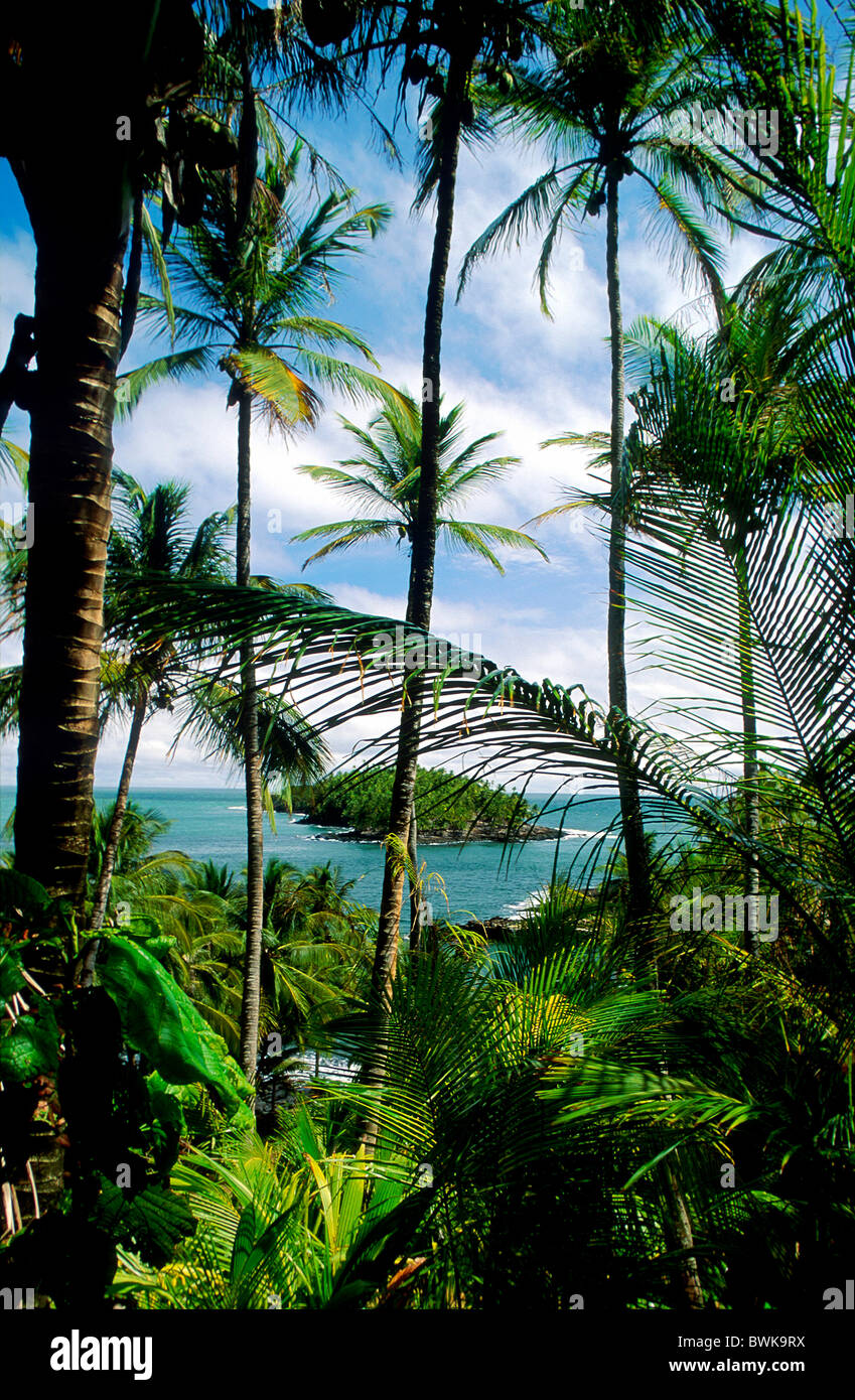 Guyana south america coast hi-res stock photography and images - Alamy
