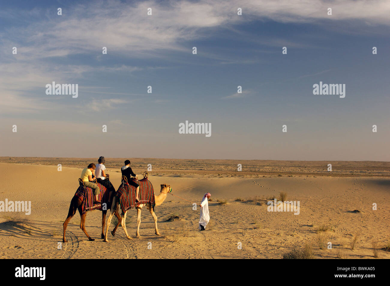 camel camels camel riding tourist guide tourism holidays vacation ...