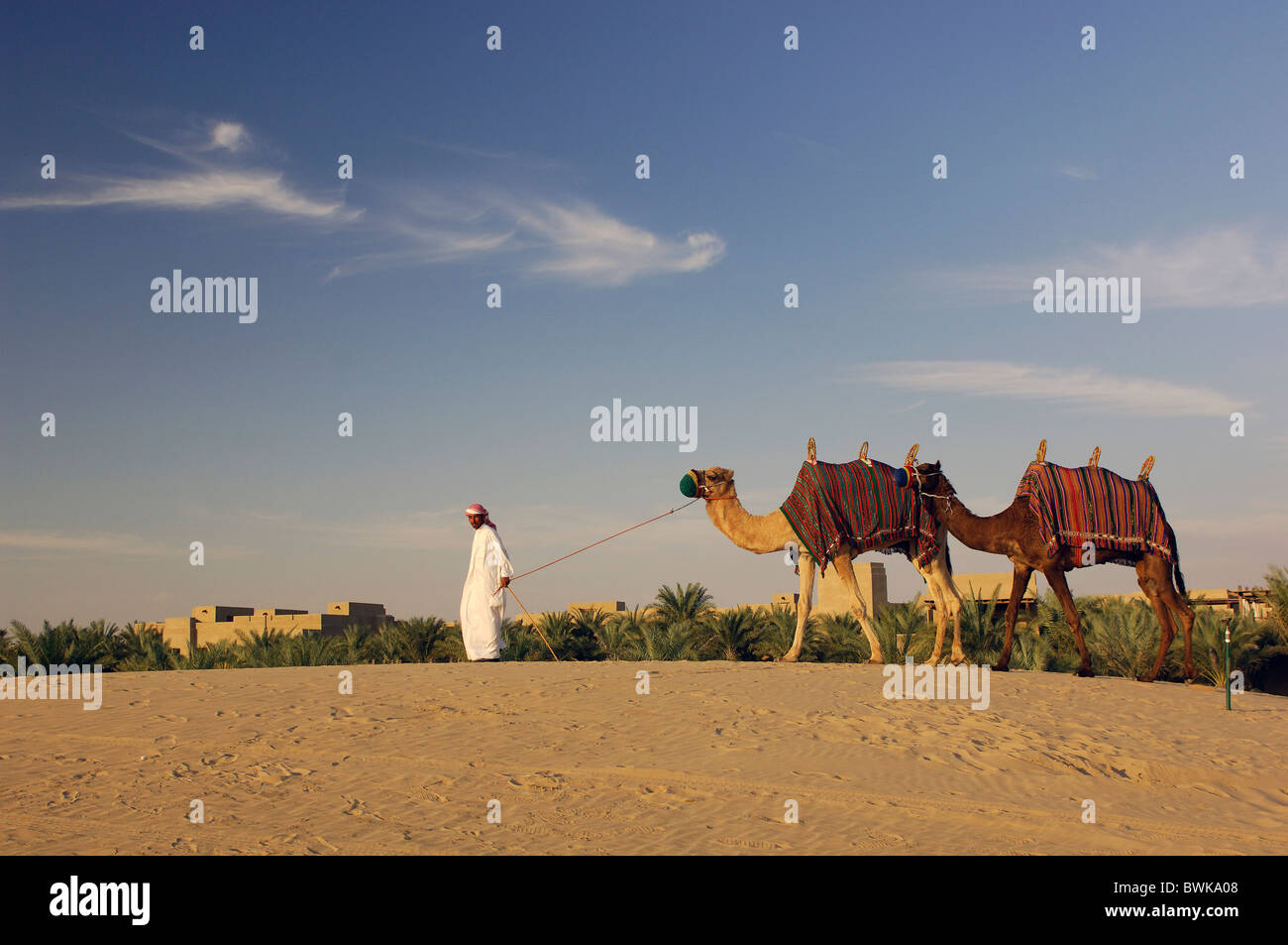 10828375 hi-res stock photography and images - Alamy