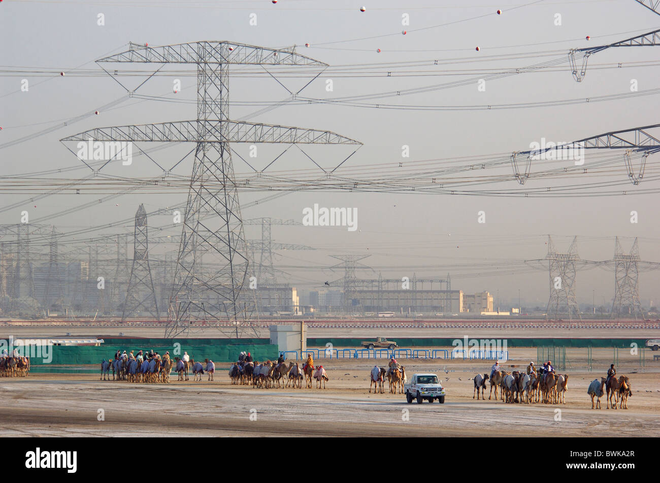 pipelines lines Hochspannungsleitungen camel running running camel ...