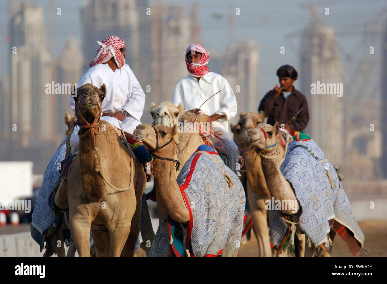 Camel Riders High Resolution Stock Photography and Images - Alamy