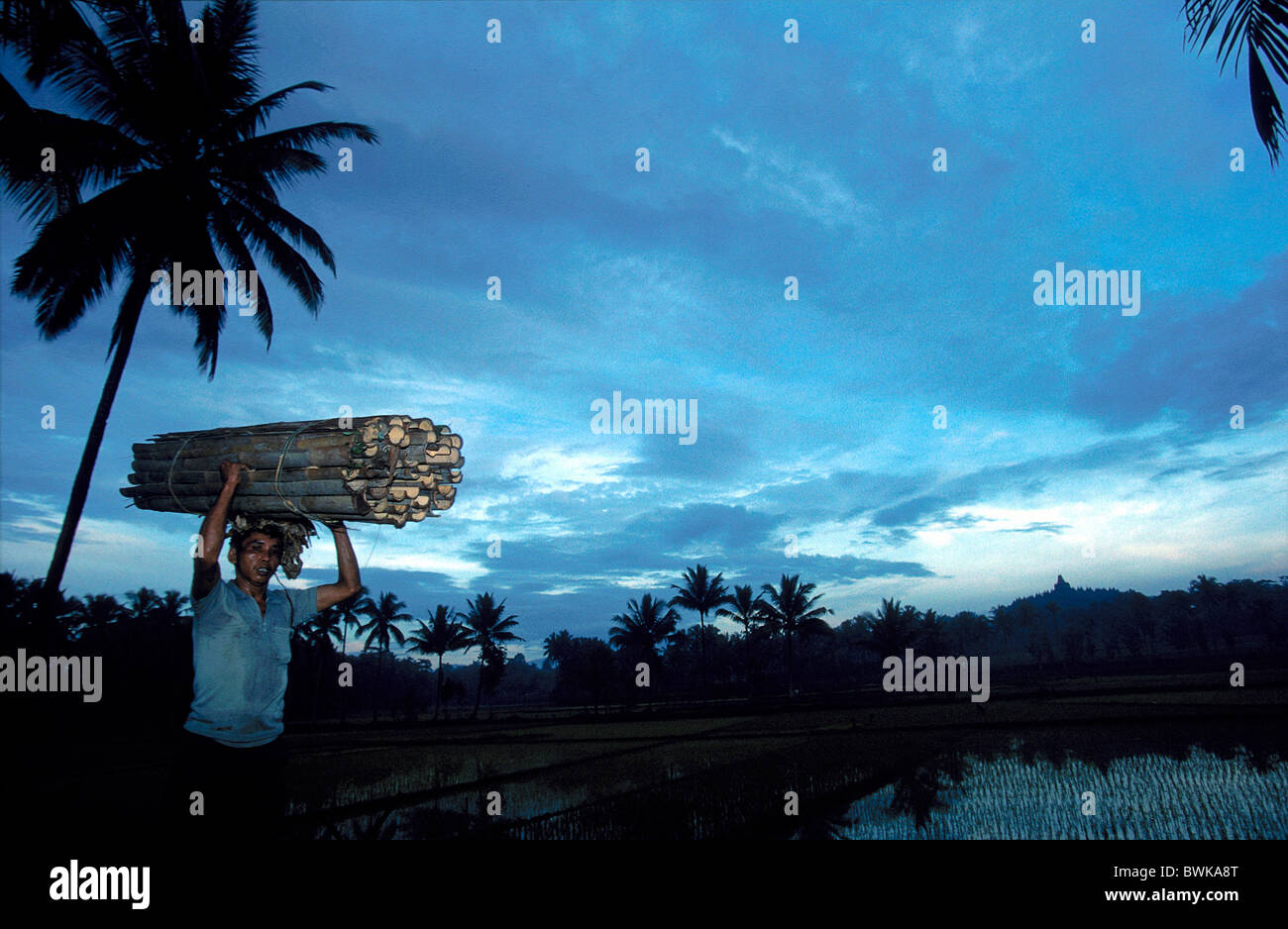 Java Man High Resolution Stock Photography and Images - Alamy