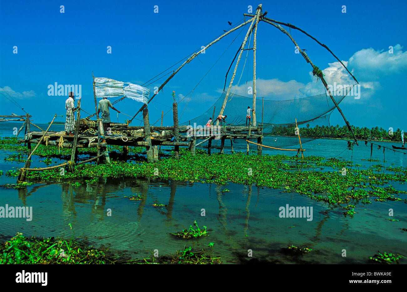 Asia Kochi Kerala State Cochin Chinese fishing nets fishermen fishing ...
