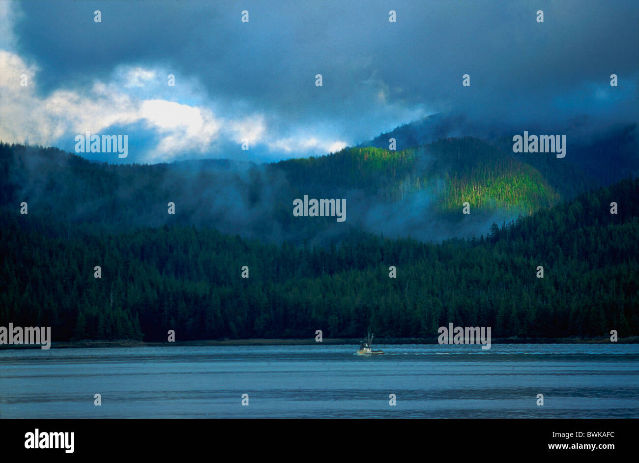 USA America North America Alaska Inside passage scenery wood forest ...