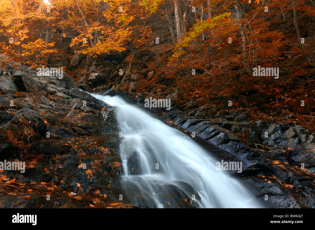 Indian brook waterfall hi-res stock photography and images - Alamy