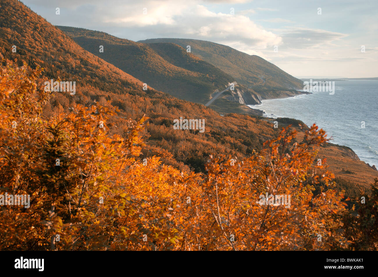 10828534 hi-res stock photography and images - Alamy