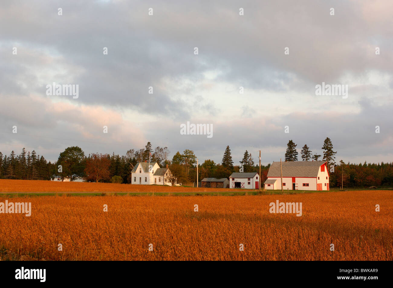 farmhouse farm agriculture autumn mood scenery landscape field fields ...