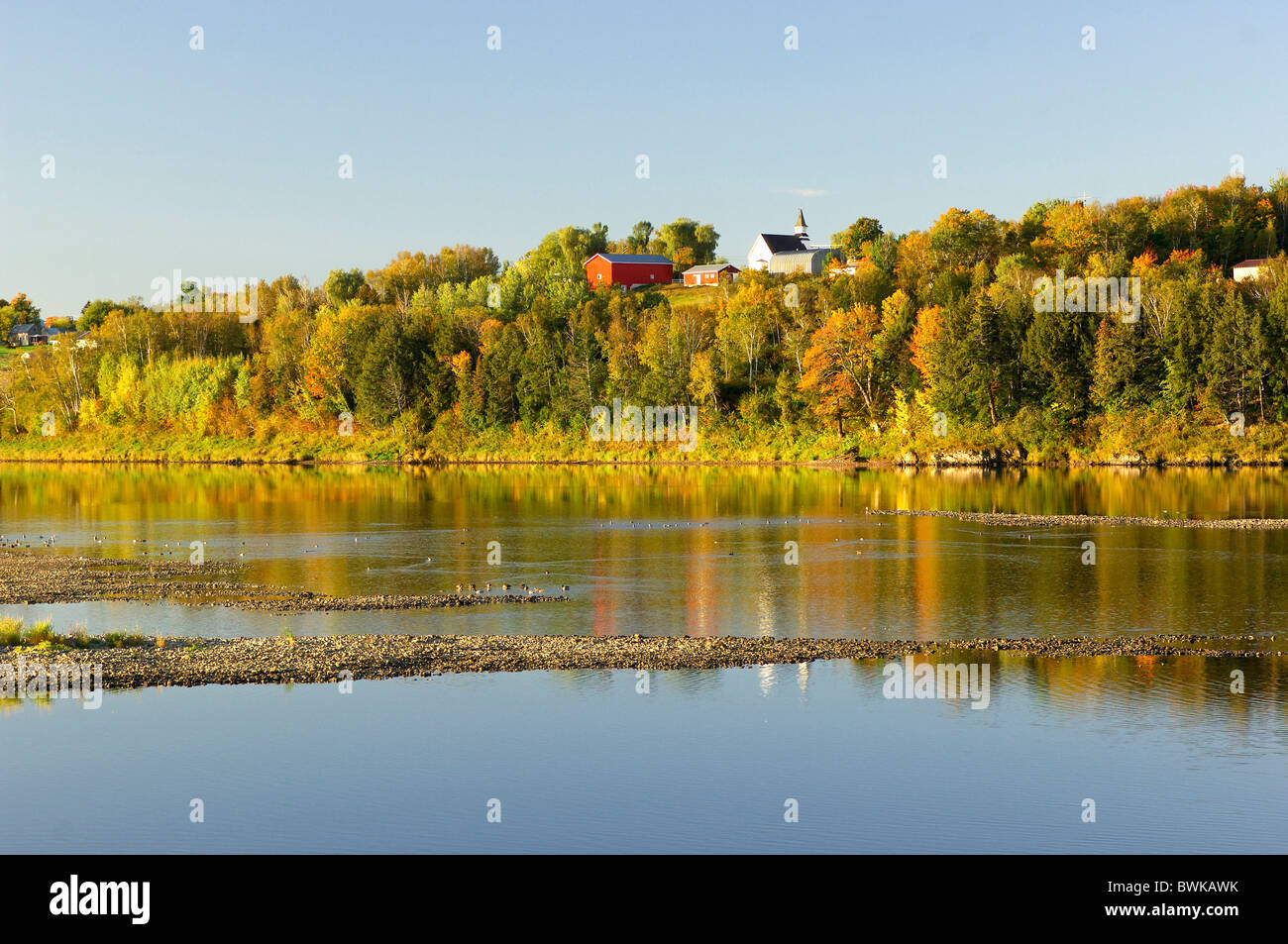 autumn river flow scenery landscape shore wood forest church autumn ...