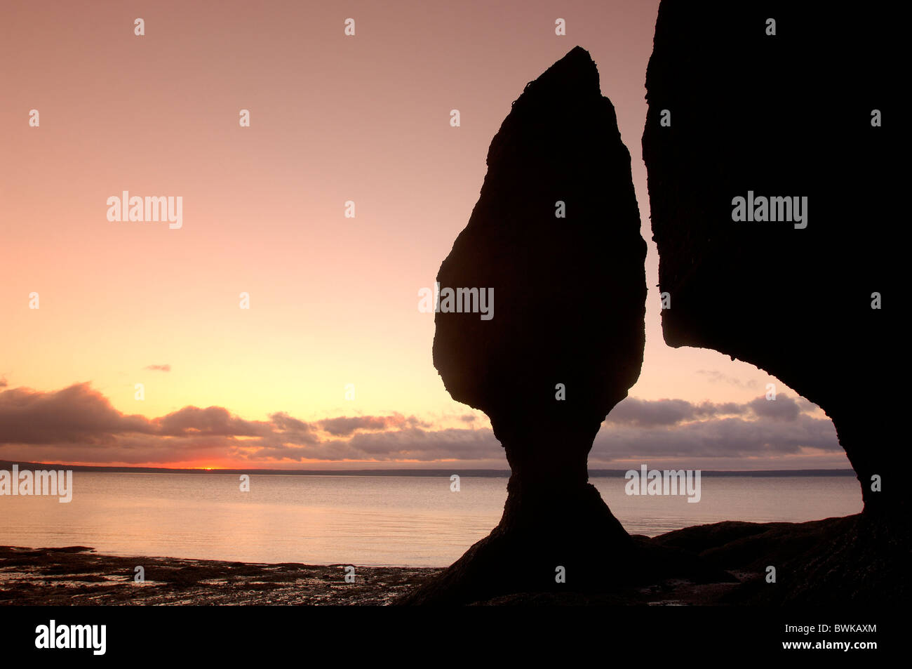 Flowerpot Rocks rock cliff erosion cliff forms cliff sculptures tides ...