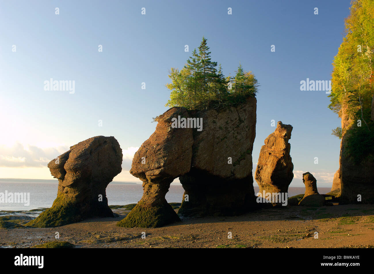 Flowerpot Rocks rock cliff erosion cliff forms cliff sculptures tides ...