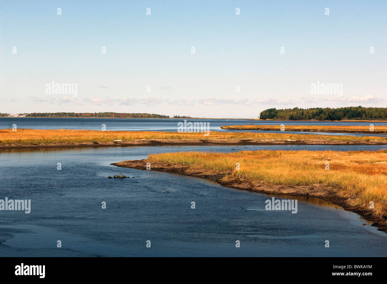 10828598 hi-res stock photography and images - Alamy