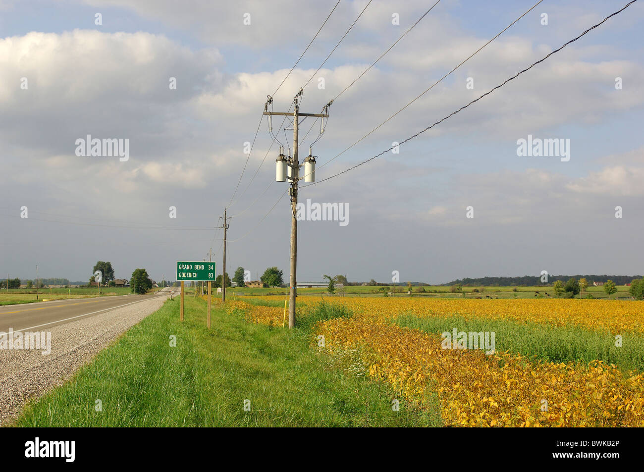 country road street pipelines lines scenery landscape fields Forest ...