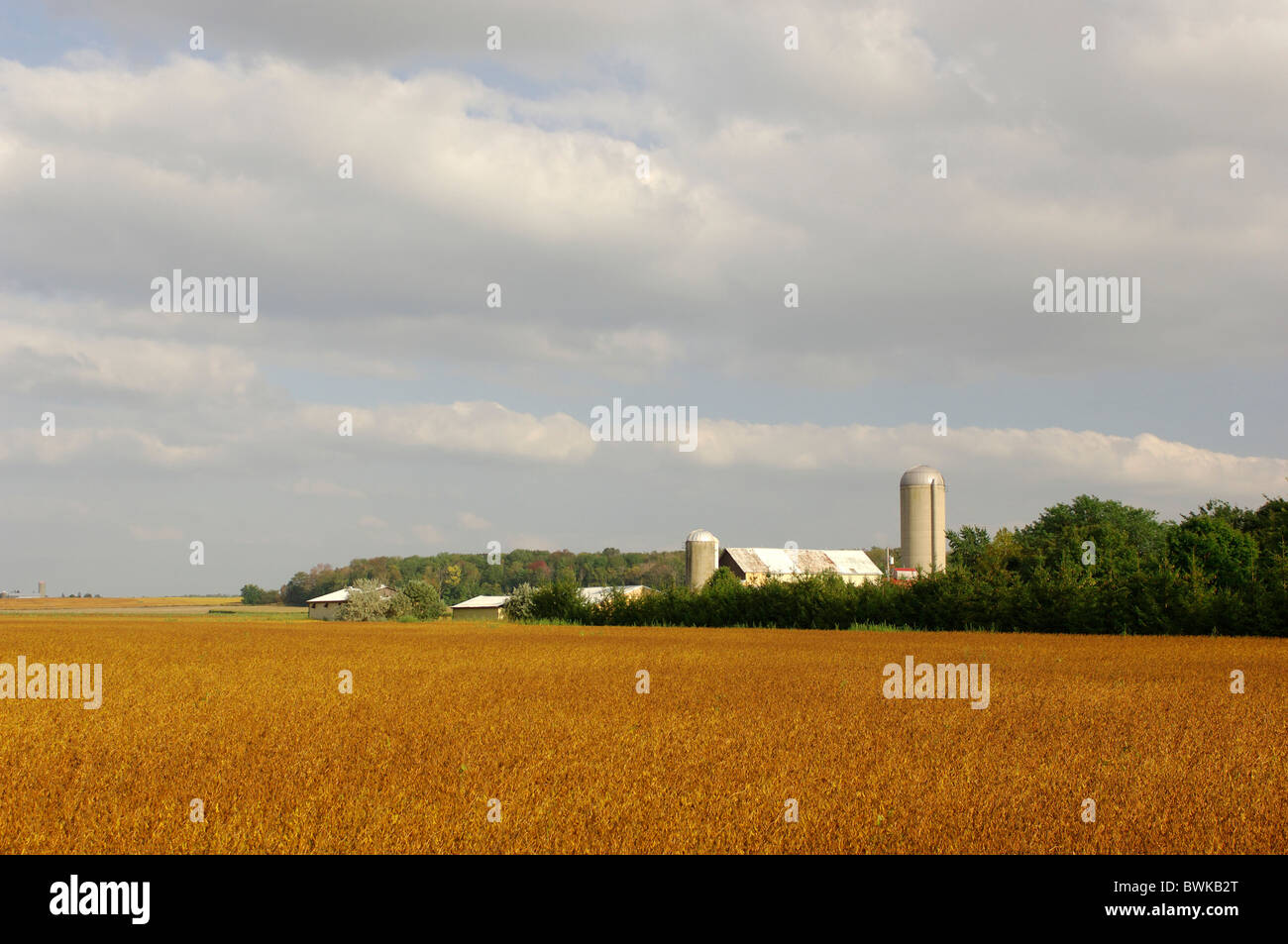 Fields field scenery hi-res stock photography and images - Alamy