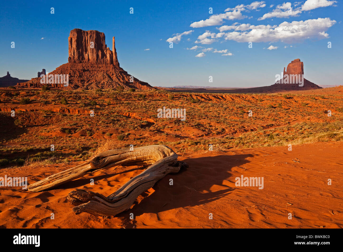 West Mitten Butte and East Mitten Butte, Monument Valley, Colorado ...