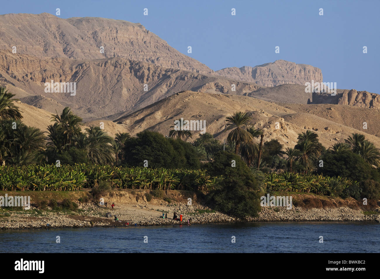 Nile river palm trees hi-res stock photography and images - Alamy