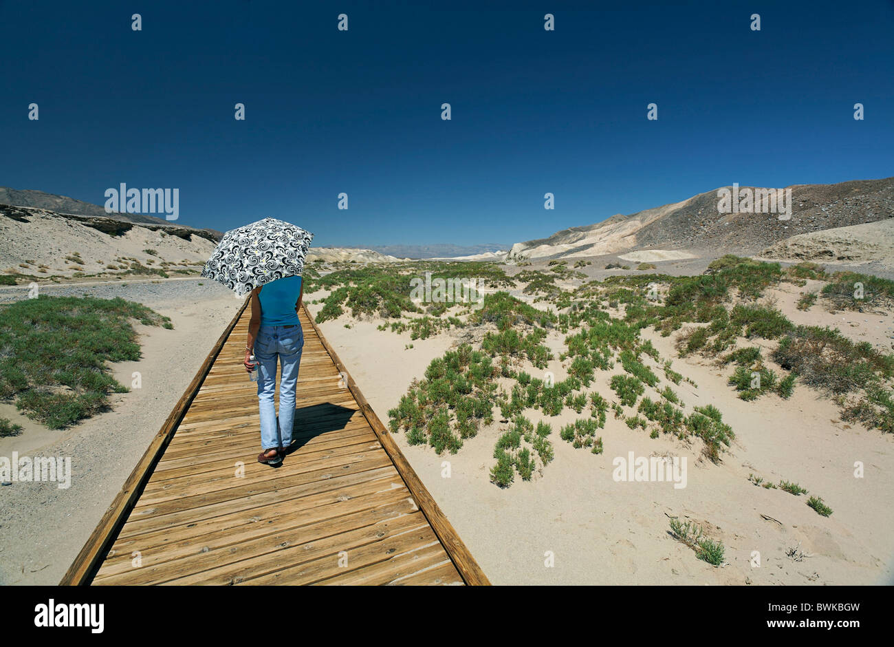 USA America North America California Death Valley Salt Creek boardwalk ...
