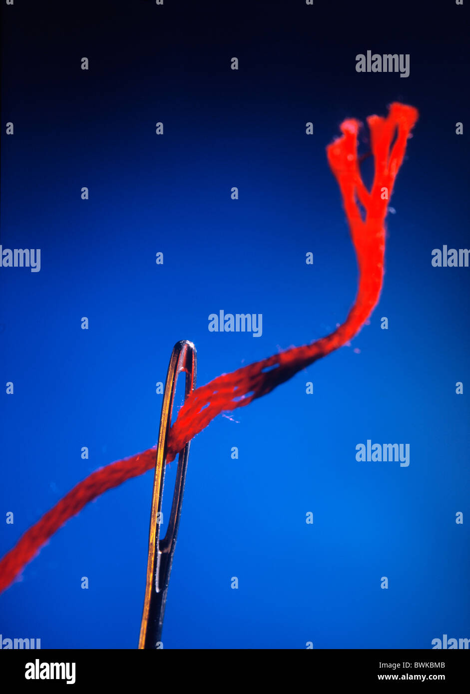 Ability Achievement beginning Beginnings Close-up Color Colour Concept ...