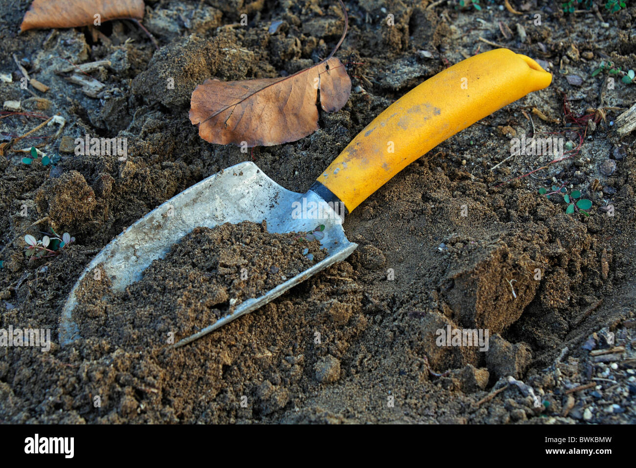 hand shovel shovel gardener garden work garden earth tools Stock Photo ...