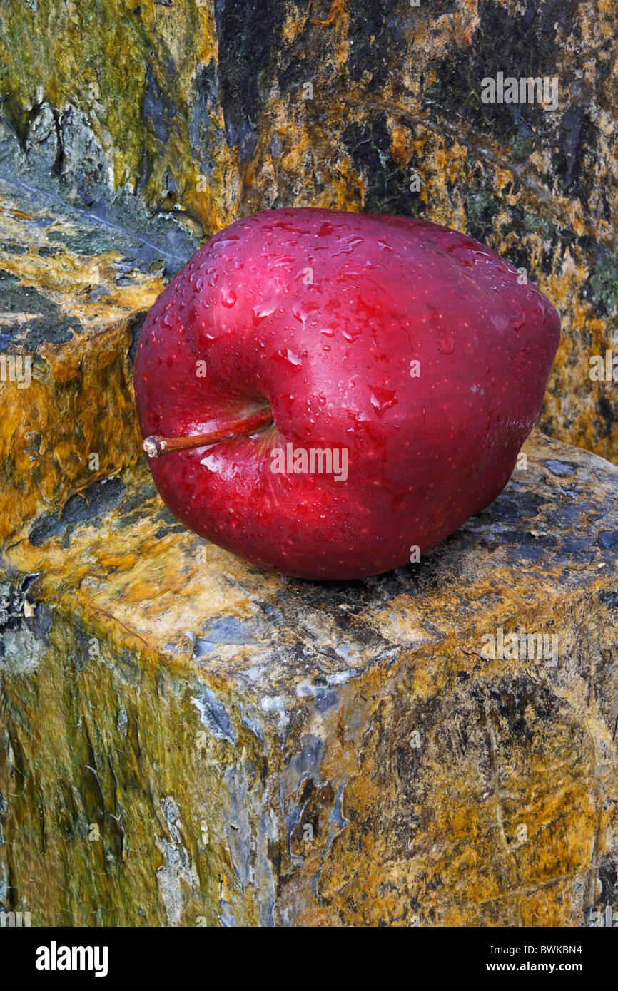 Red Delicious apple fruit fruit outside food eatings Food Stock Photo ...
