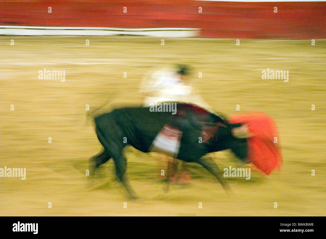 bullfight arena bull toreador torero Caletilla Acapulco Mexico Central ...