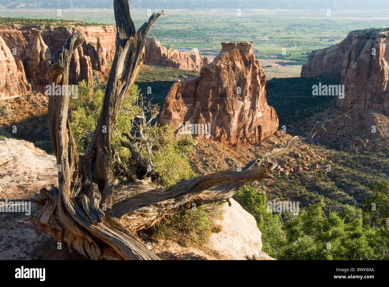 scenery rock cliff erosion valley mountains plateau gulch Colorado ...