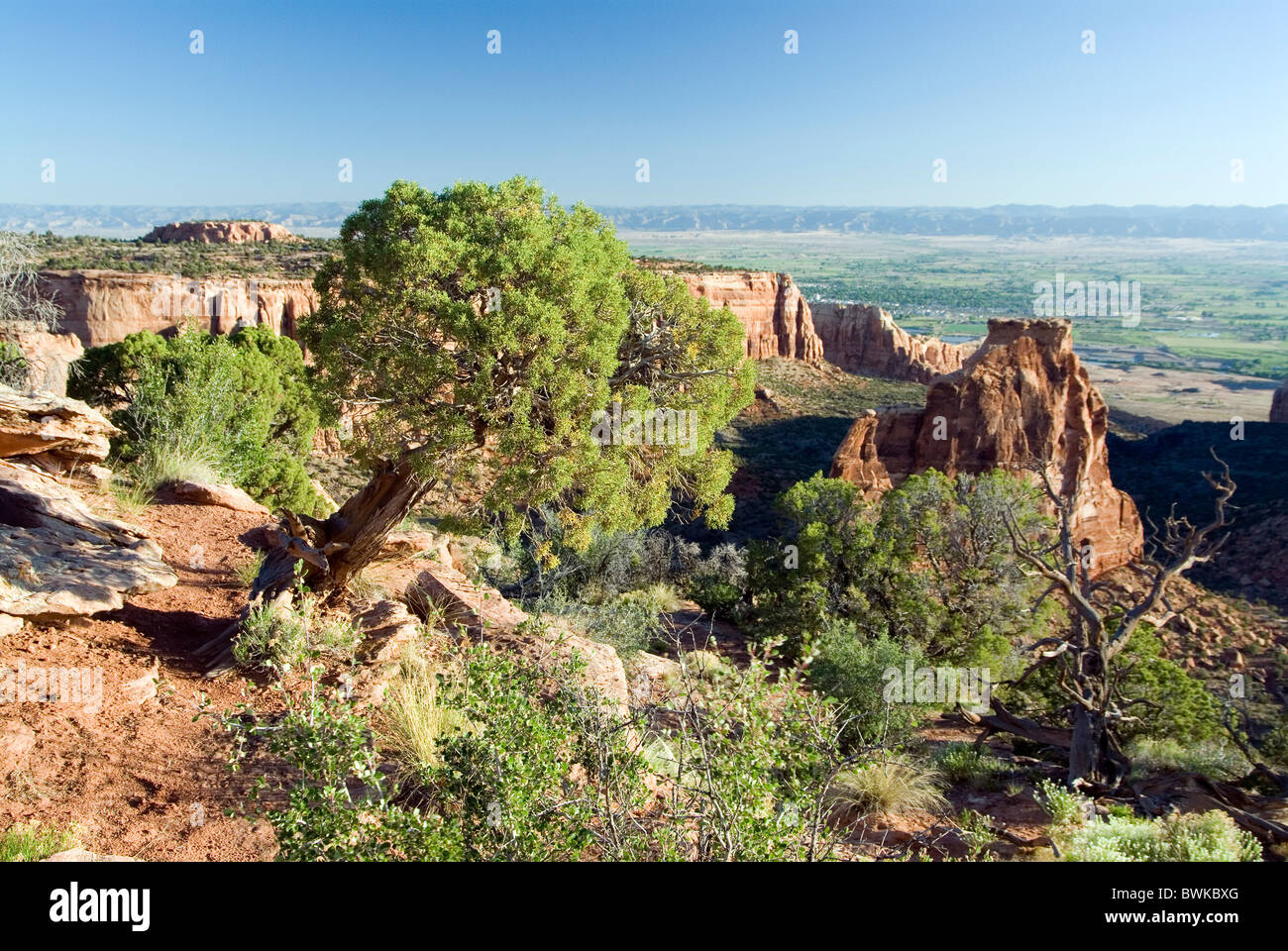 scenery rock cliff erosion valley mountains plateau gulch Colorado ...