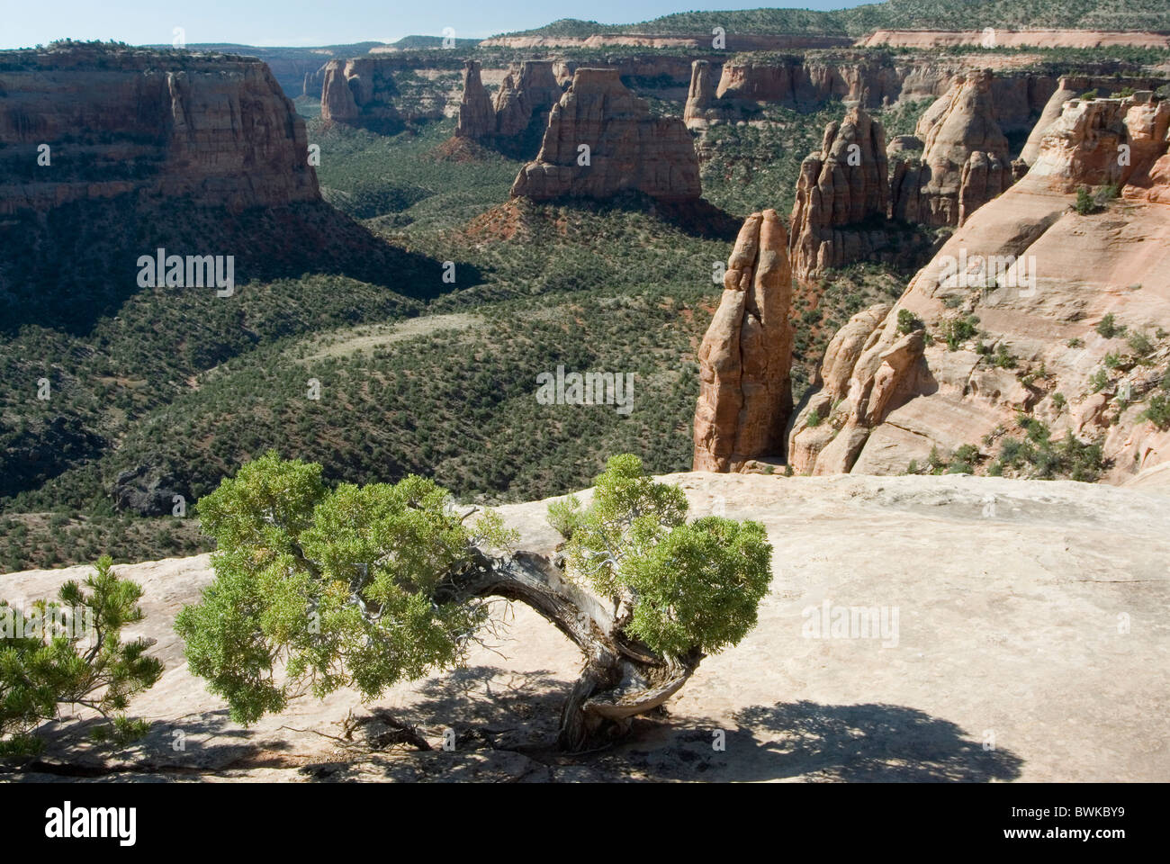scenery rock cliff erosion valley mountains plateau gulch Colorado ...
