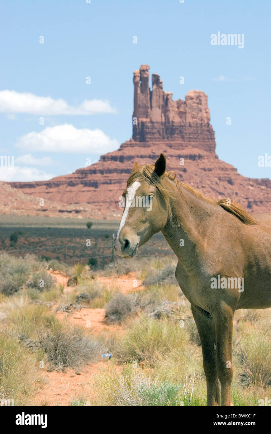 10823842 hi-res stock photography and images - Alamy