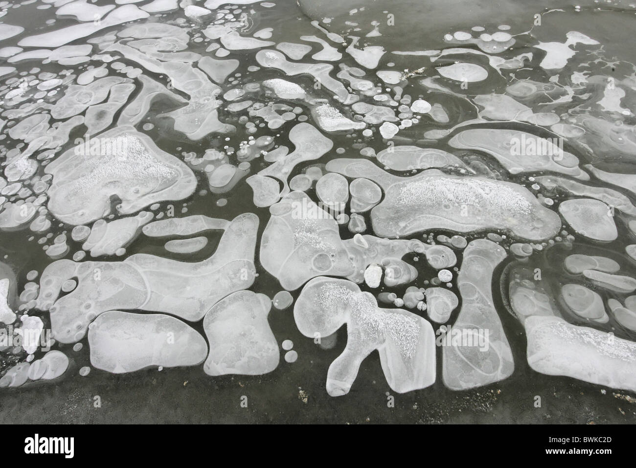 10829013 hi-res stock photography and images - Alamy