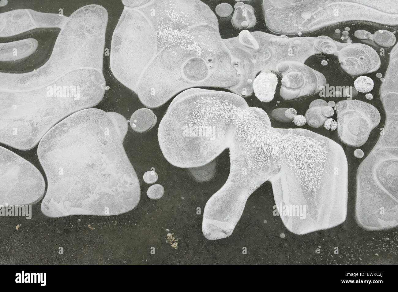 ice ice forms water winter cold Frozen structure pattern concepts Stock ...