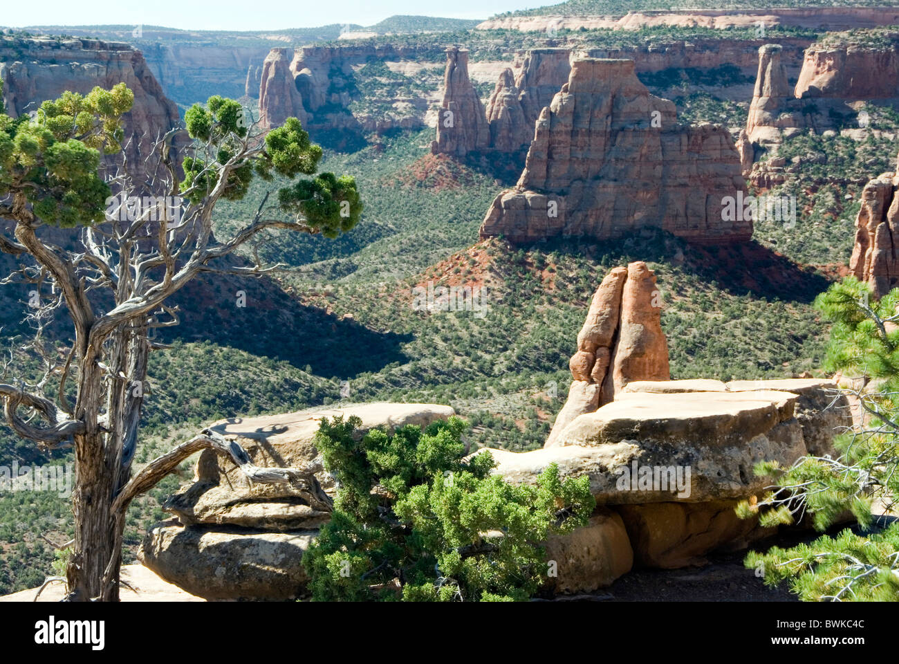 scenery landscape rock erosion valley mountains plateau gulch Colorado ...