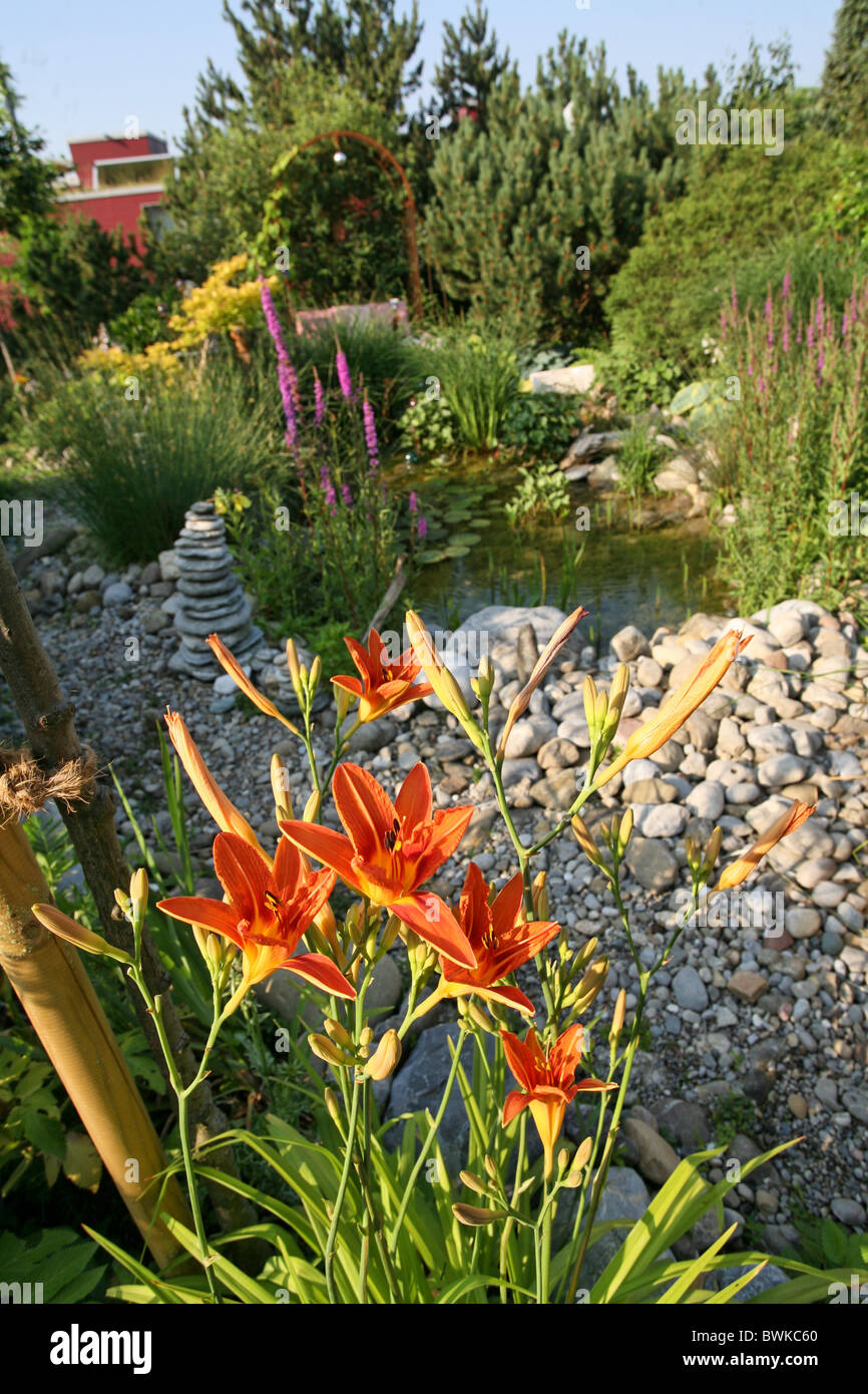 garden flowers lilies pond stones construction biotope Stock Photo - Alamy