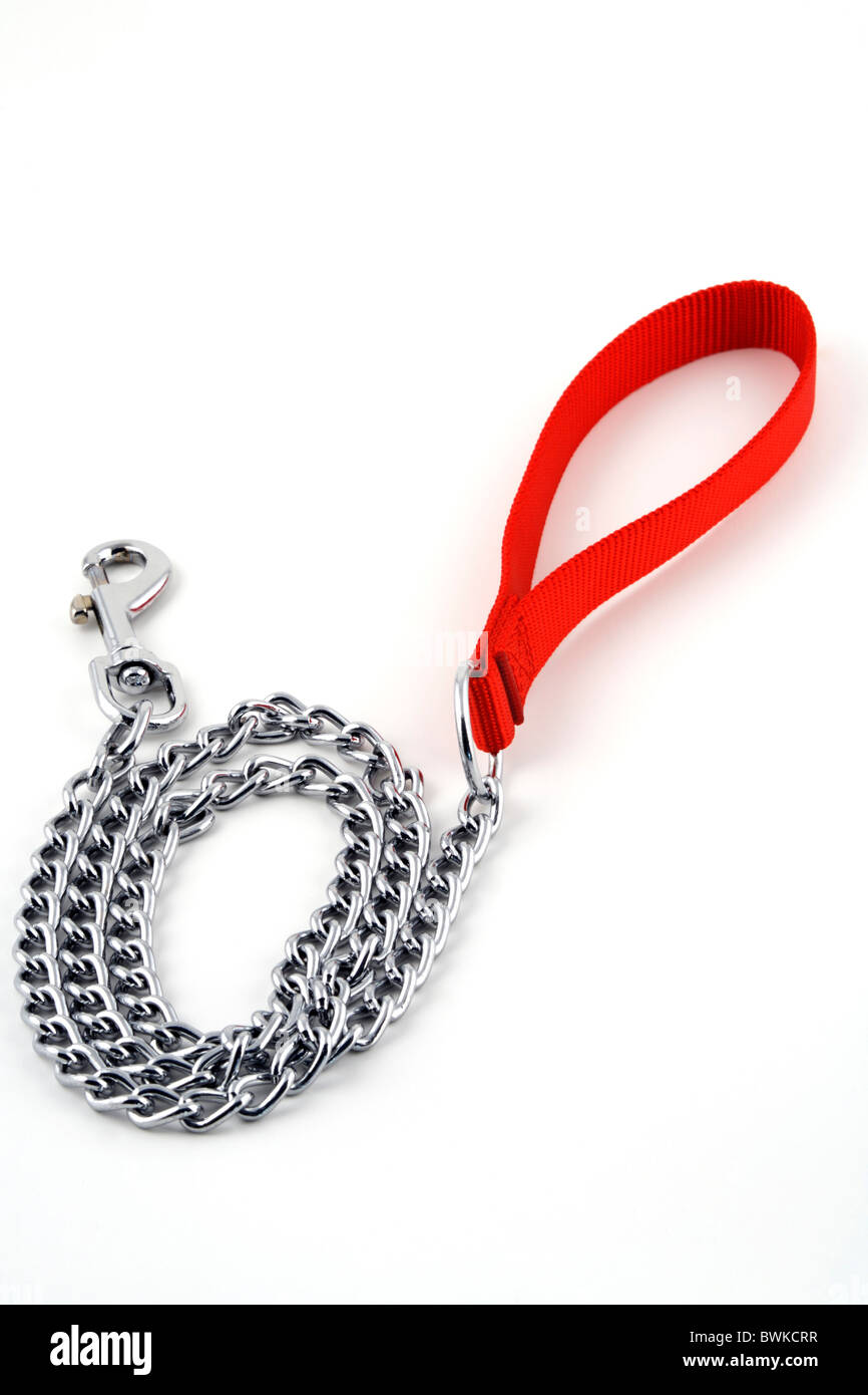 dog lead chain studio studio shot Stock Photo - Alamy
