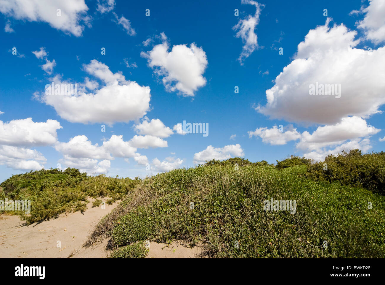 Capalbio hi-res stock photography and images - Alamy