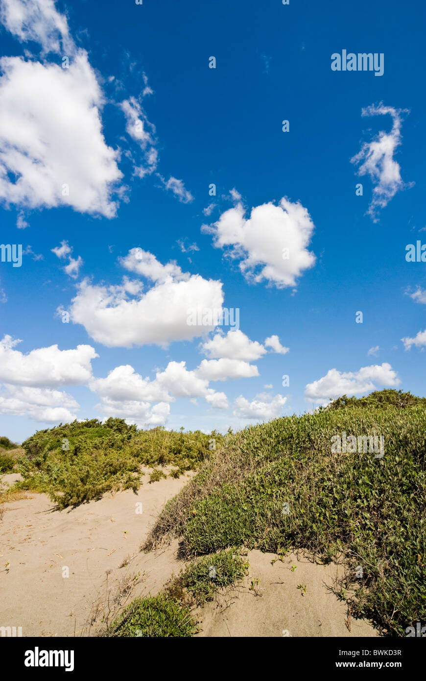 Grosseto beach hi-res stock photography and images - Alamy